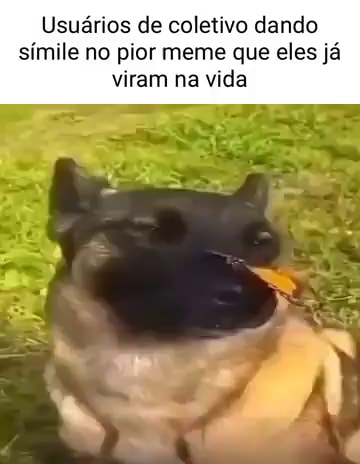 Usuários de coletivo dando símile no pior meme que eles já viram na ...
