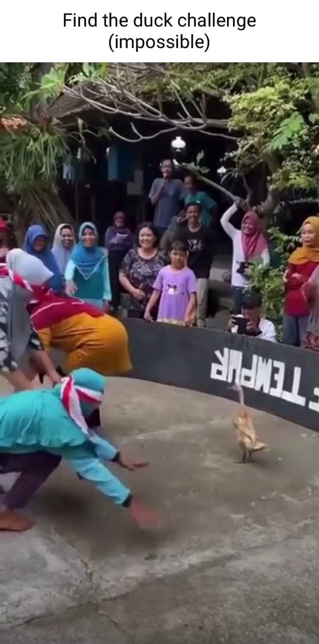 Find the duck challenge (impossible) . yt - iFunny Brazil