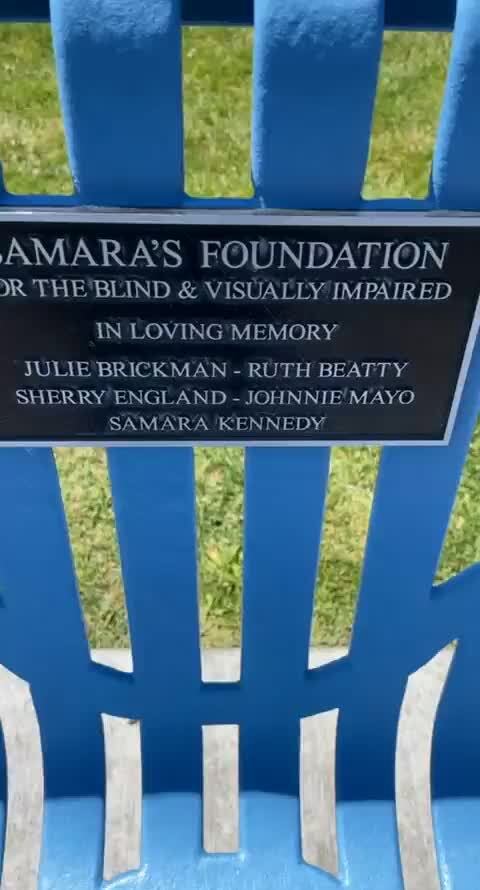 AMARA'S FOUNDATION THE 'BLIND & VISUALLY IMPAIRED IN LOVING MEMORY ...