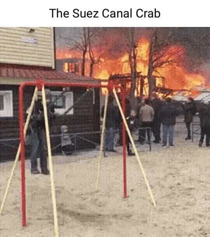 The Suez Canal Crab - iFunny Brazil