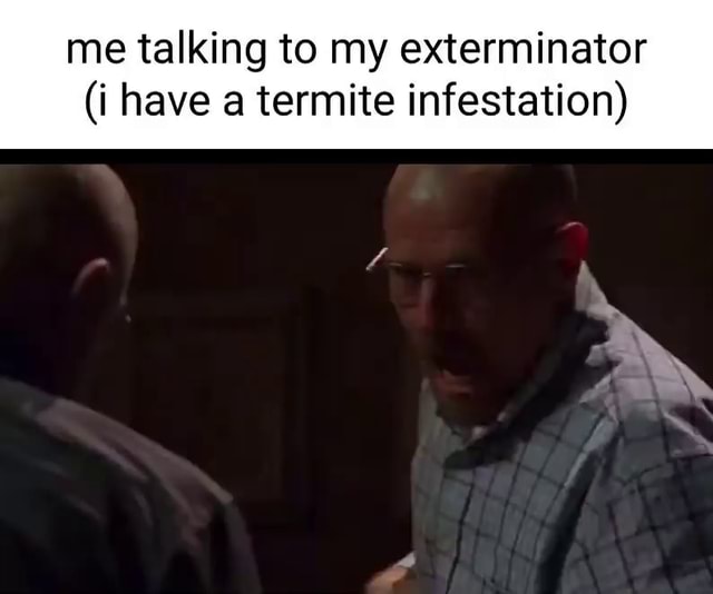 Me talking to my exterminator (i have a termite infestation) - iFunny ...
