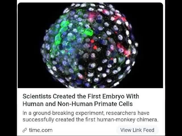 Scientists Created the First Embryo With Human and Nor Human Primate ...