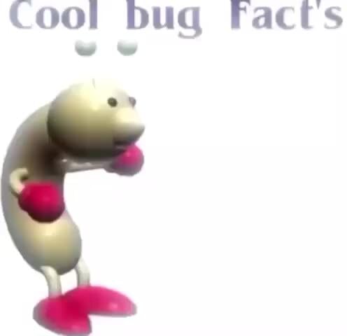 Cool Dug Facts - iFunny Brazil